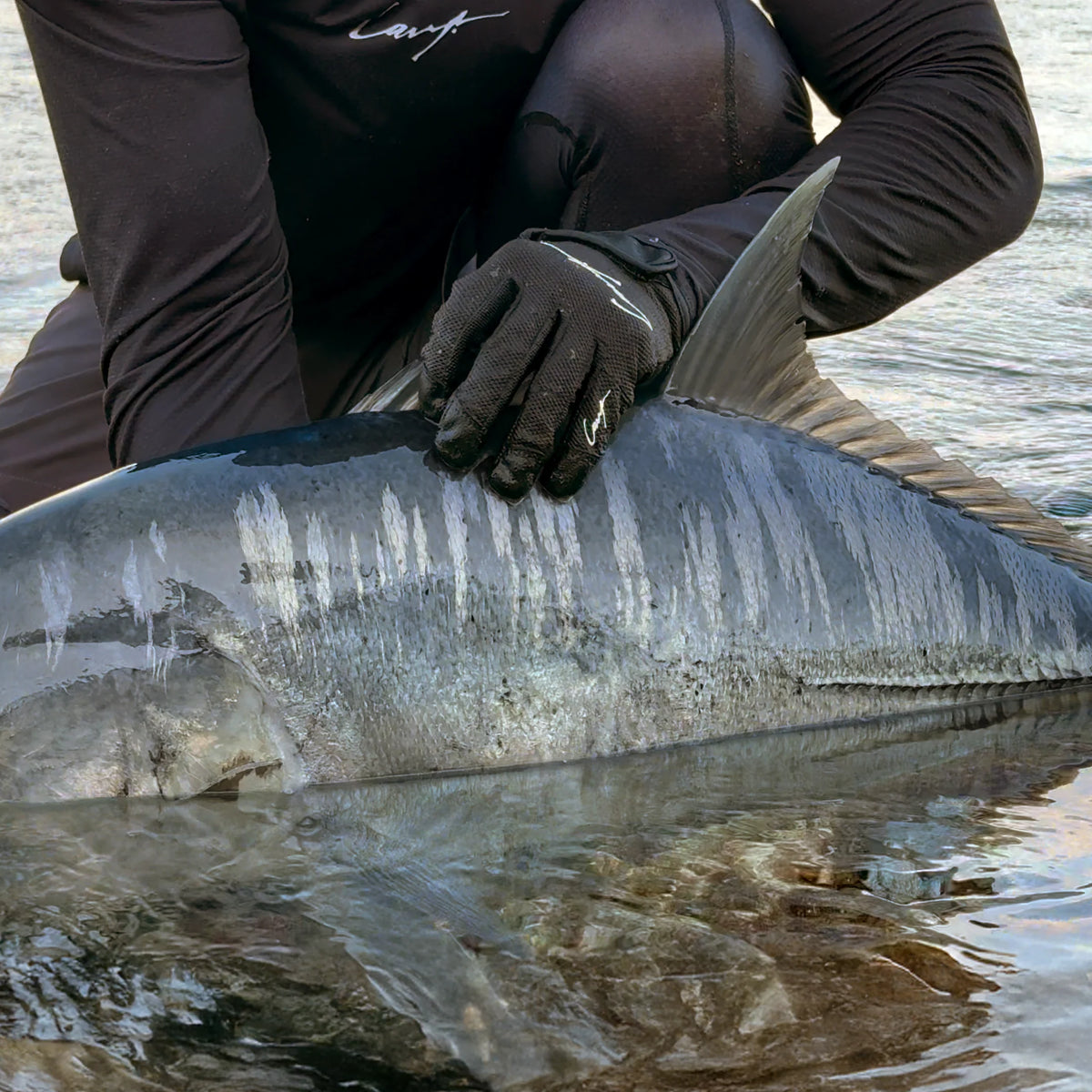 How I Find The Best Fishing Spots for Giant Trevally - Location is Key ...