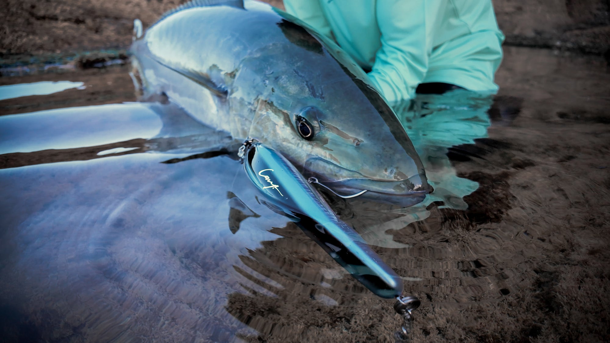 CAVY FISHING TACKLE SHOP