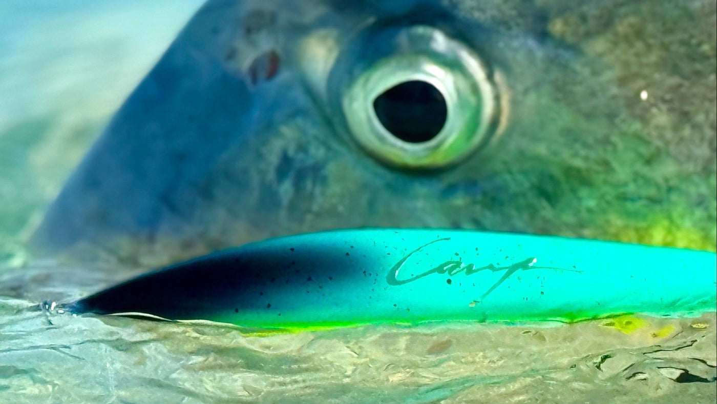 Cavy Fishing®️ – Handmade Saltwater Fishing Lures & Gear – CAVY FISHING